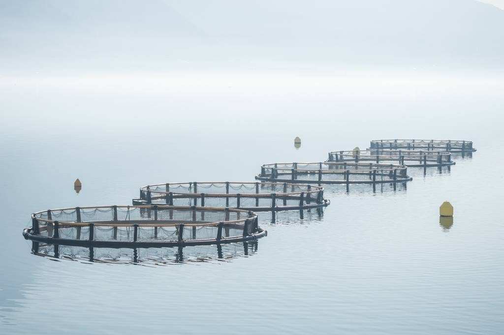 About Us - iambeu.com